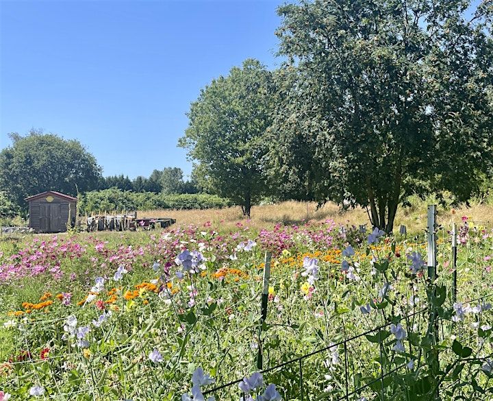 PAWA Paints farms and wineries of the Sammamish Valley, Woodinville Day ...