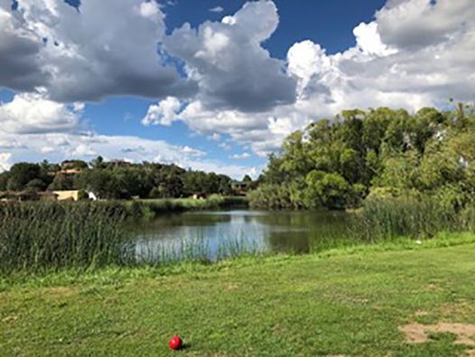 Golf "Fore" the Arts Tournament and Festival, Payson Golf Club, 5 June 2021