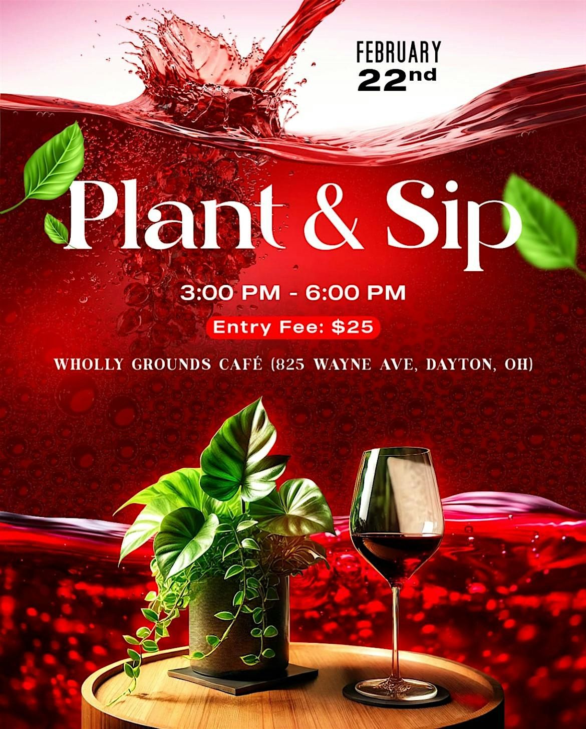 Plant and sip, Wholly Grounds, Dayton, 22 February 2025