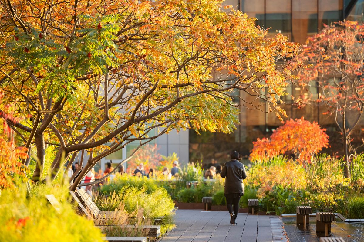 High Line Tour in Mandarin, 820 Washington St, New York, 3 October 2025