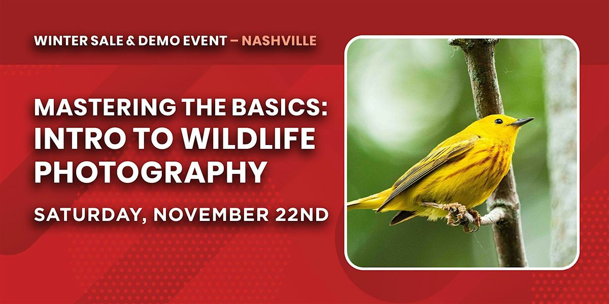 Mastering the Basics: Intro to Wildlife Photography | Nashville, TN ...