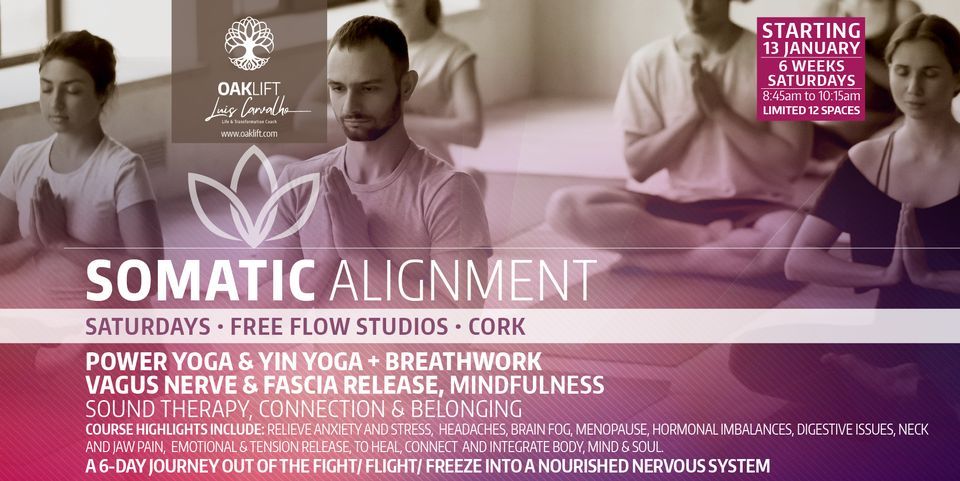 SOMATIC ALIGNMENT - Reset your Nervous System, Free Flow Studios, Cork, 13 January 2024