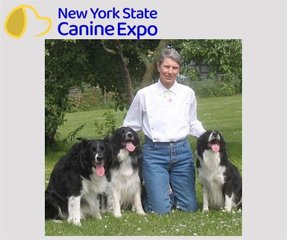 HERDING and ENRICHMENT WORKSHOPS with Barb Buchmayer - Canine Expo 2025 ...