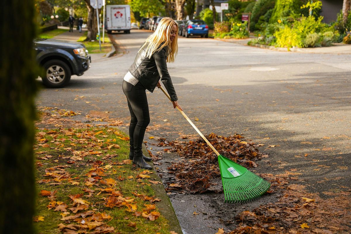 Adopt a Catch Basin: Kitsilano Neighbourhood House Leaf Clearing, Kitsilano Neighbourhood House ...