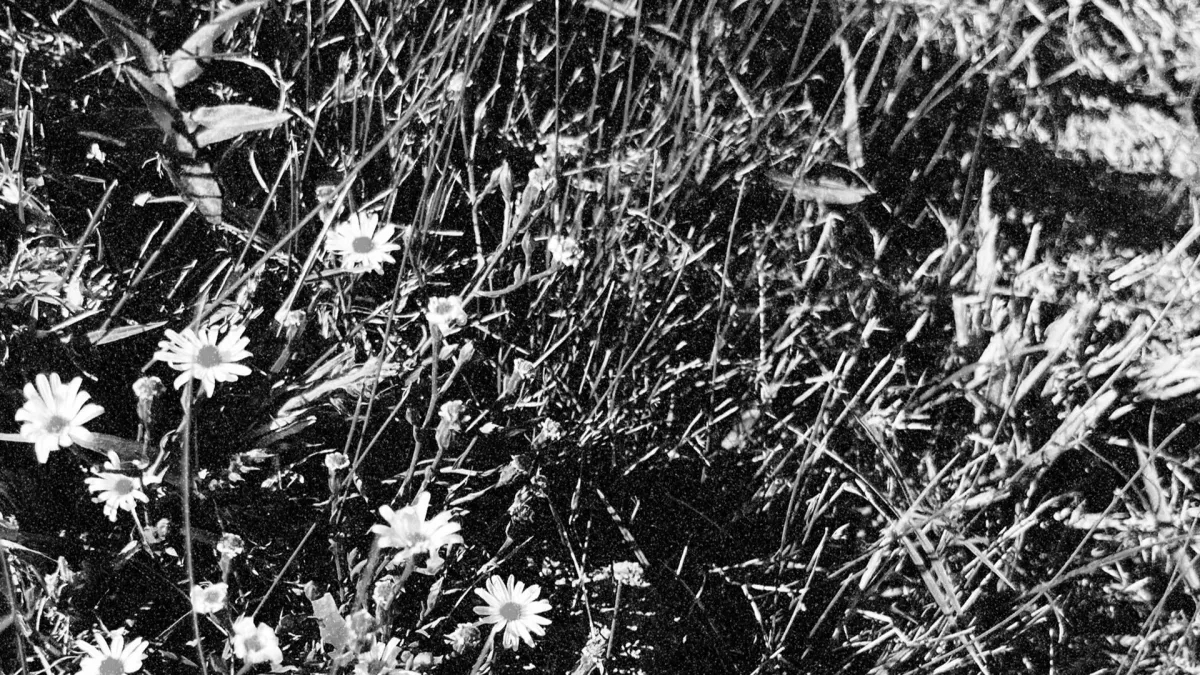 John Moreland, Patterson Hood in Greensboro, The Pyrle, Greensboro, 10 ...