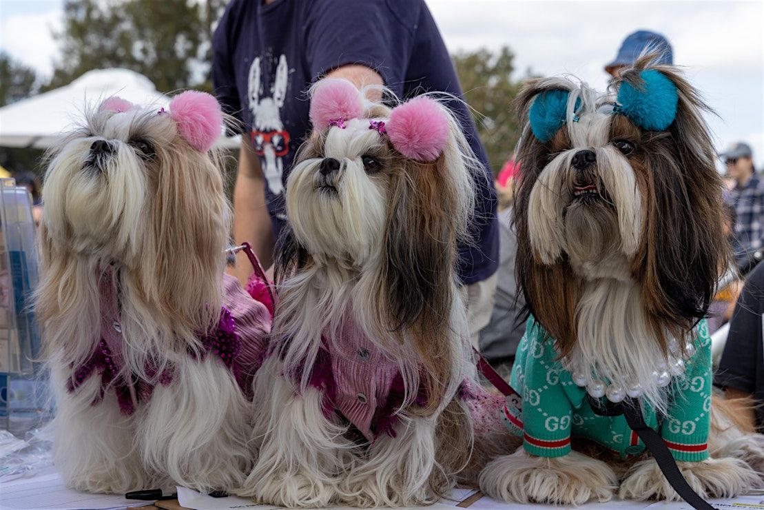 Chelsea Park Dog-a-thon Family Fun Day 2026, Chelsea Bicentennial Park ...