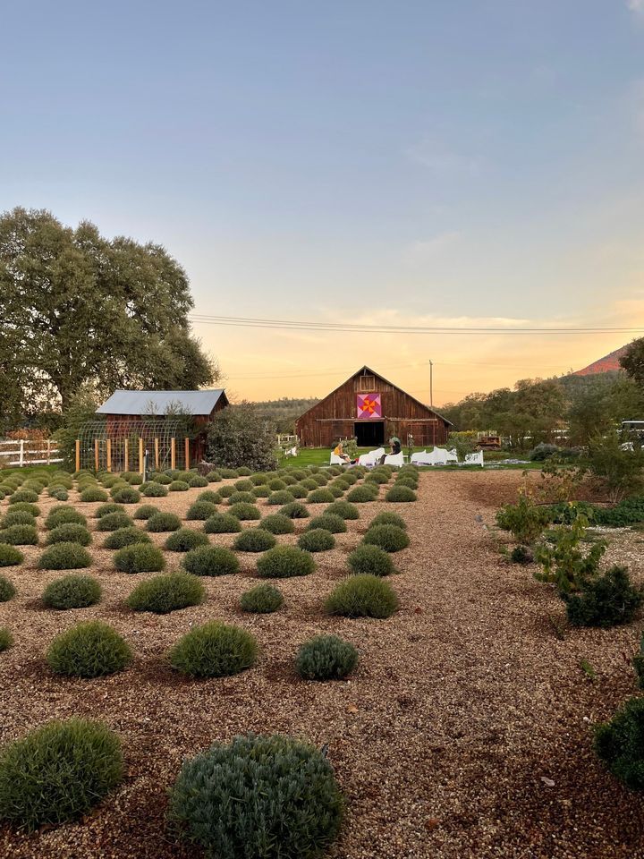 Big Valley Small Farms Tour, Peace and Plenty Farm, CA, Kelseyville, 10 ...