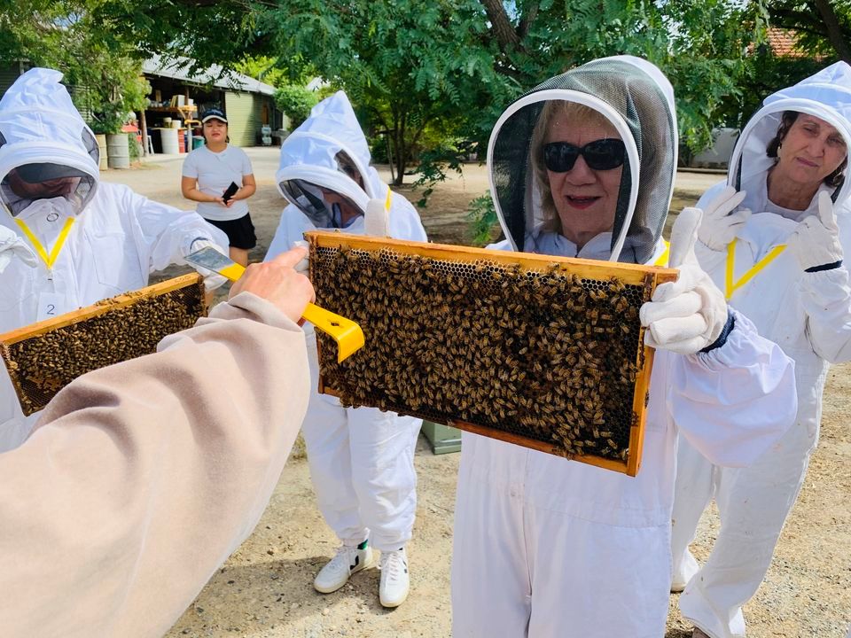 Bee Safari as part of Entwined in the Valley, The House of Honey & The ...