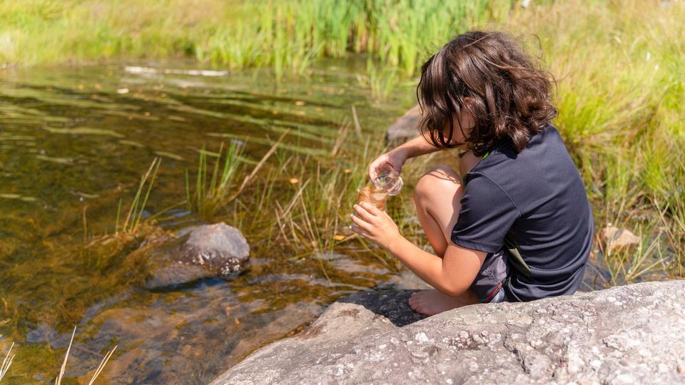 Citizen Scientists: Stream Monitoring, Morgan Creek Park, Cedar Rapids ...