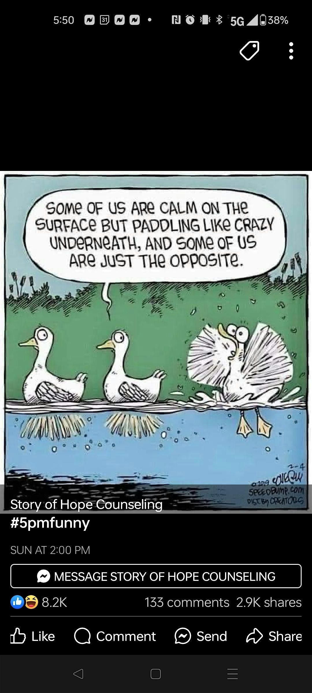 2026 Scarpelli Reunion, Umpqua Lighthouse State Park Campground ...