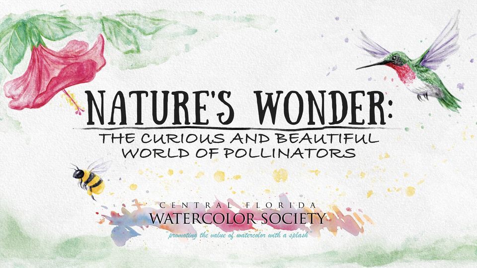 Natures Wonders: The Curious and Beautiful World of Pollinators ...
