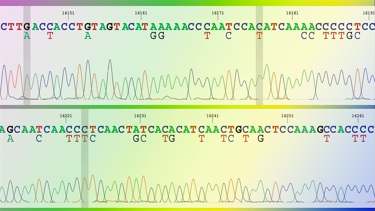 Saturday DNA! NYC - Swab to Sequence: What Happens When You Send Off ...