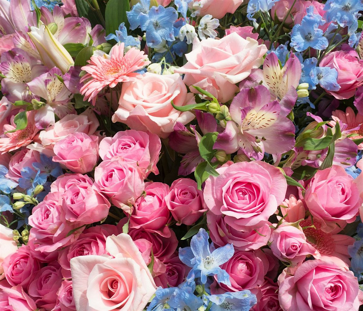 Floristry Taster Session, Reaseheath College, Nantwich, 31 January 2026