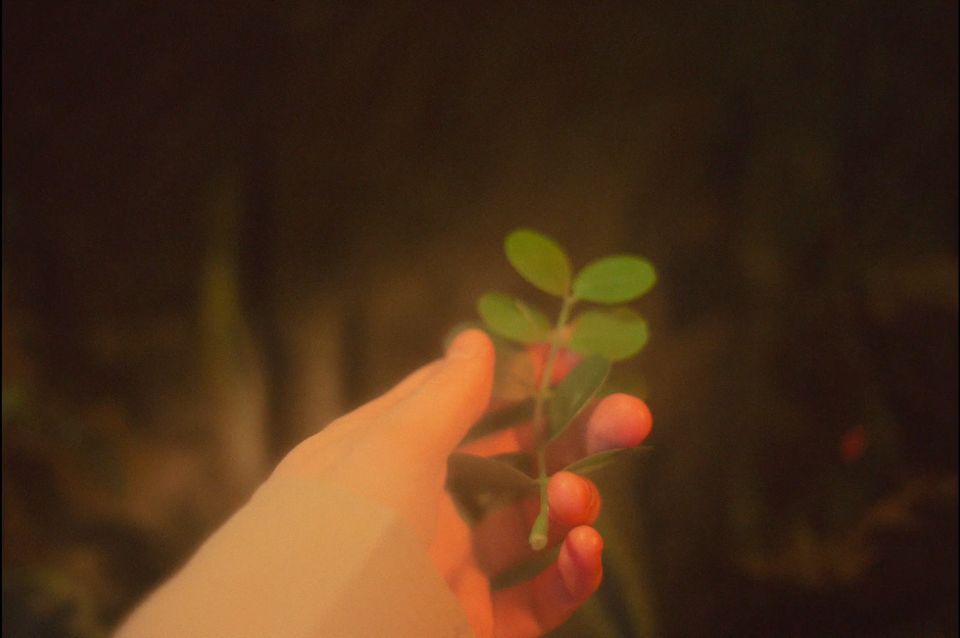 Tech Arts for Youth | Stop Motion Animation: With Humans!, Squeaky ...