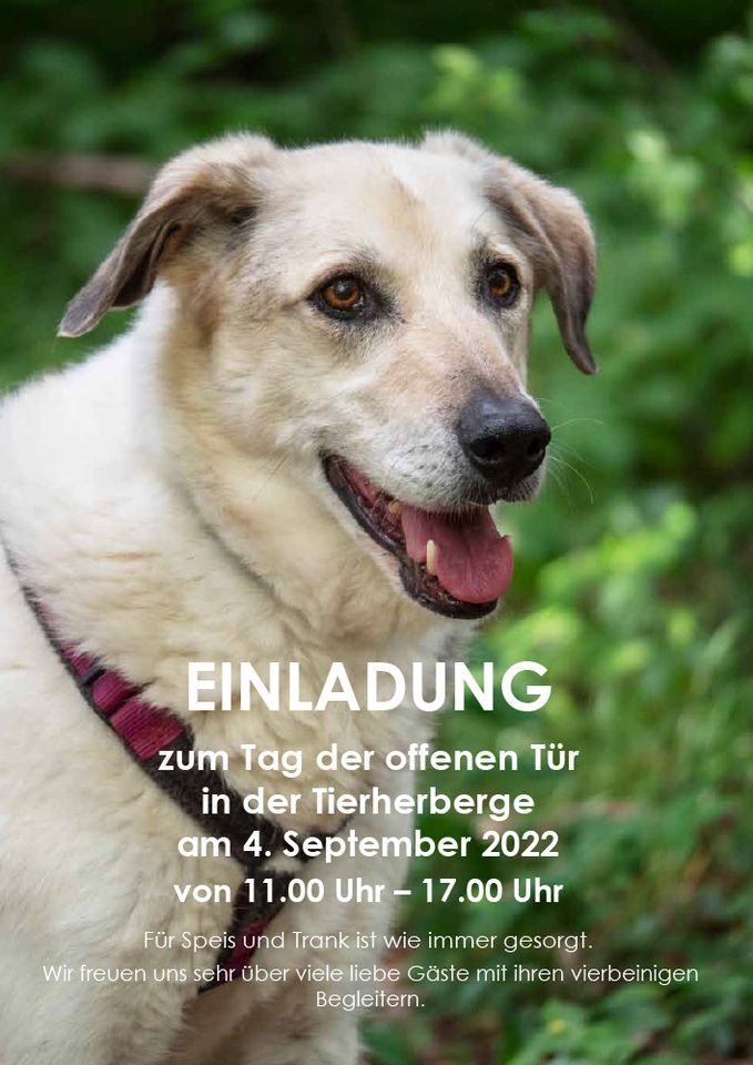 Tag der offenen Tür, Tierherberge Egelsbach / Tier-Rettungs-Dienst Frankfurt e.V., 4 September 2022