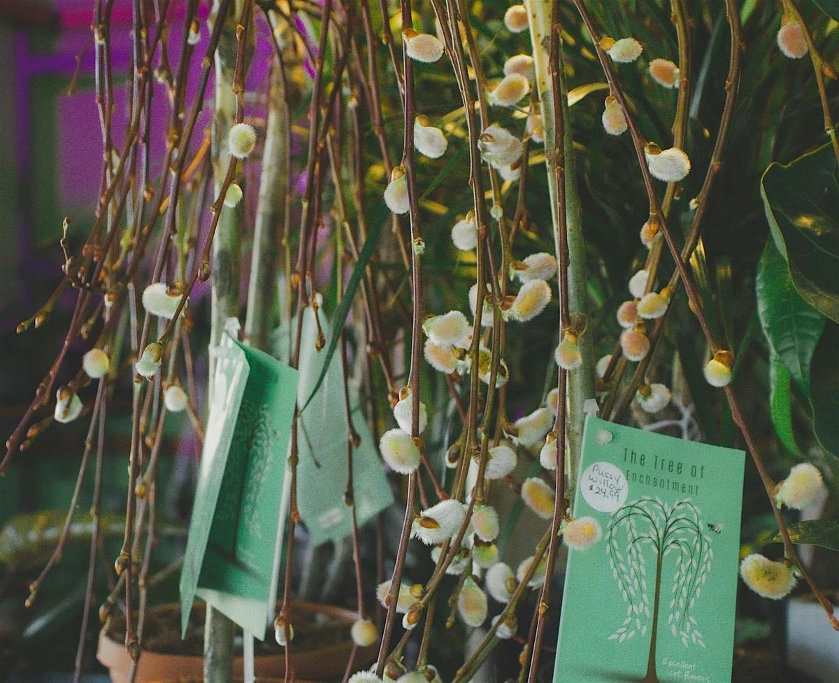 Pints & Plants: Sweet Roots, Campbell Creamery, 7 February 2026