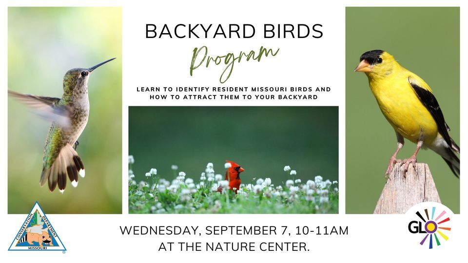 Backyard Birds Program for Seniors, Springfield Conservation Nature ...