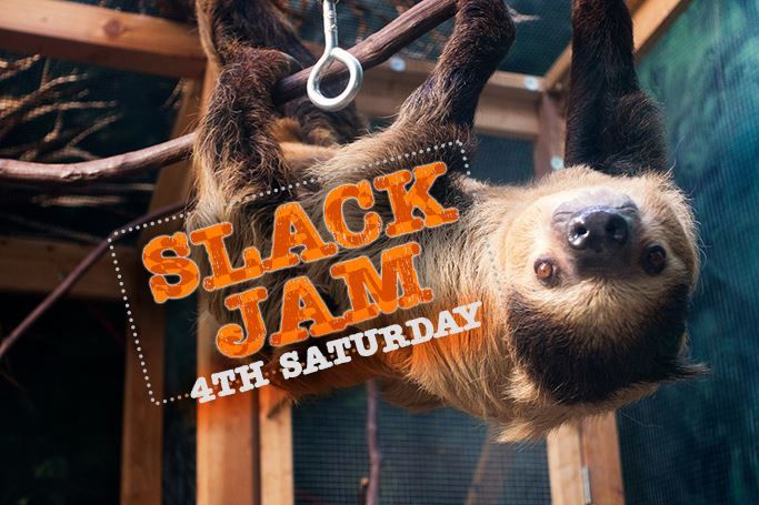 Slack Jam, 1130 E Missouri Ave, Phoenix, AZ 85014-2708, United States ...