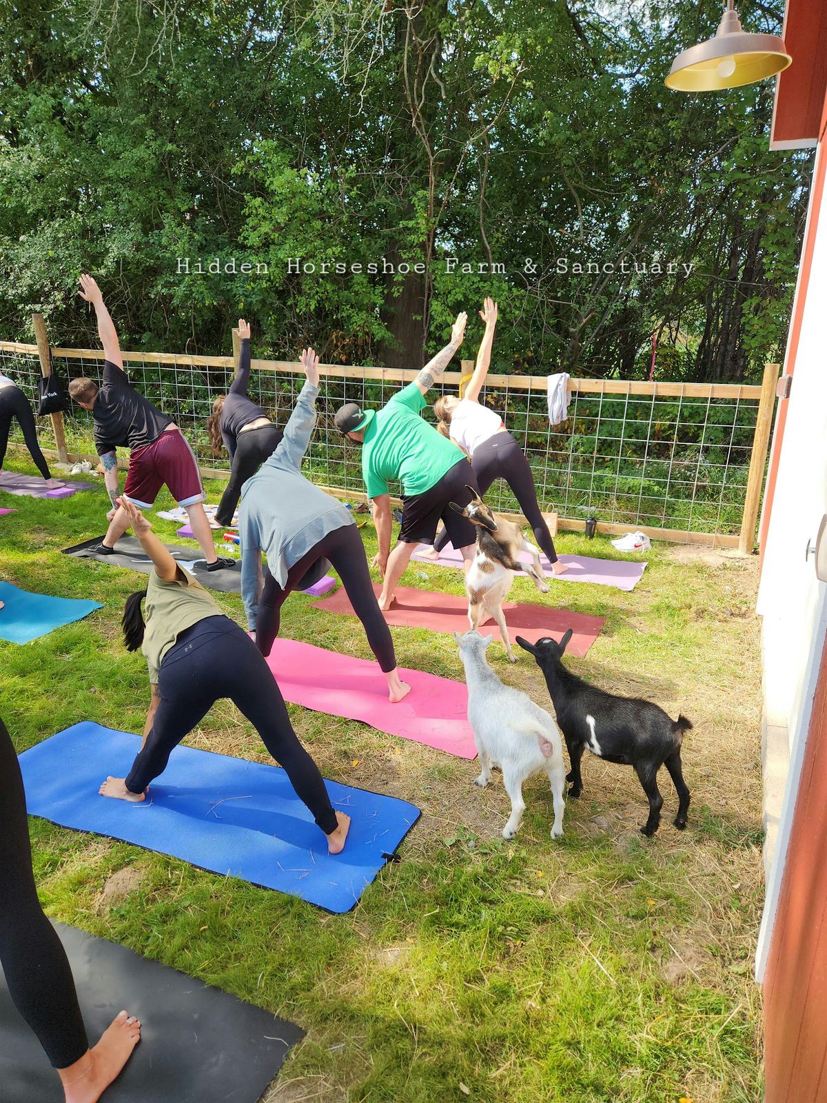 Events & Happenings in Auburn, NY