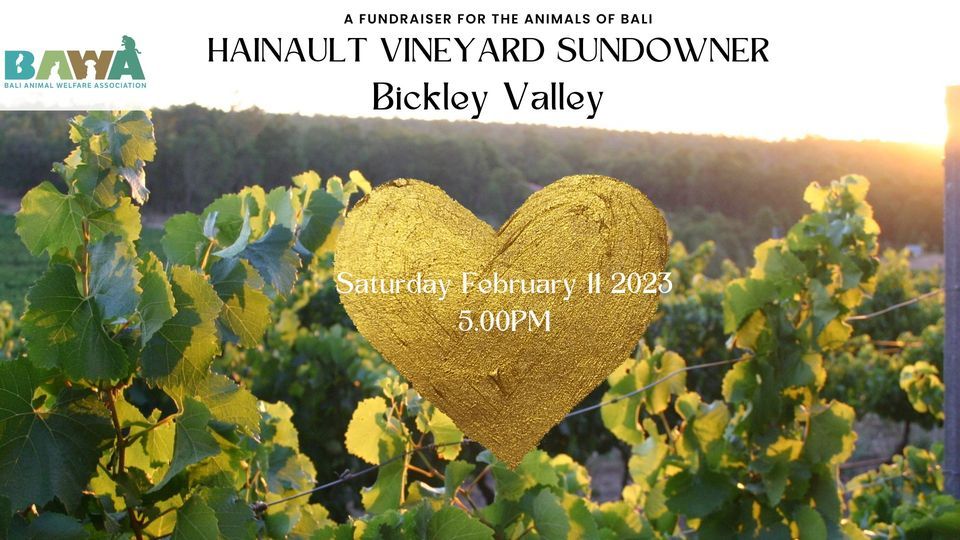 Hainault Vineyard Sundowner - A Fundraiser for the animals of Bali ...