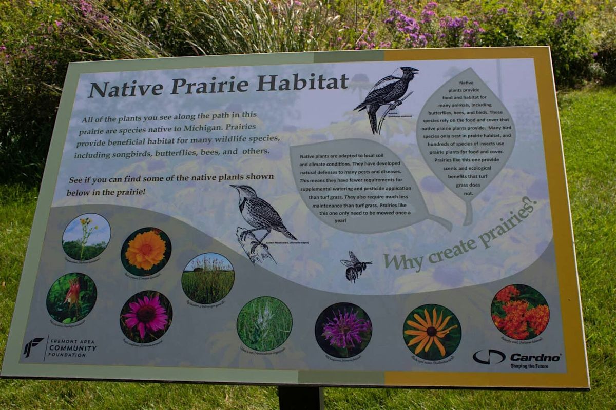Seed Collecting: Native Plant Seeds from the Prairie: Fall 2025 ...