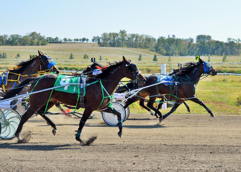 2023 Standardbred Horse Races, The Track on 2 - Casino, Horse Racing ...