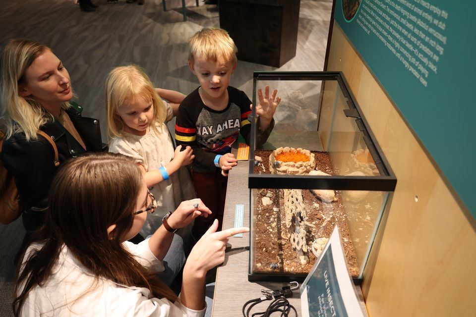 Winter Family Science Workshop: Incredible Insects (registration ...