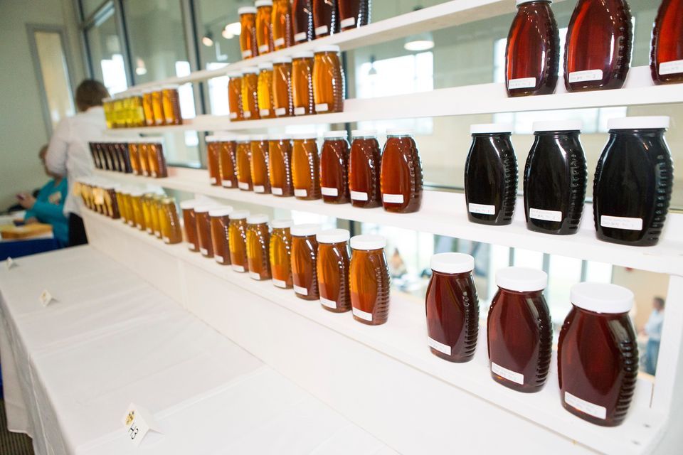 Honey Sensory Analysis Workshop 2023, UF IFAS Honey Bee Research and ...