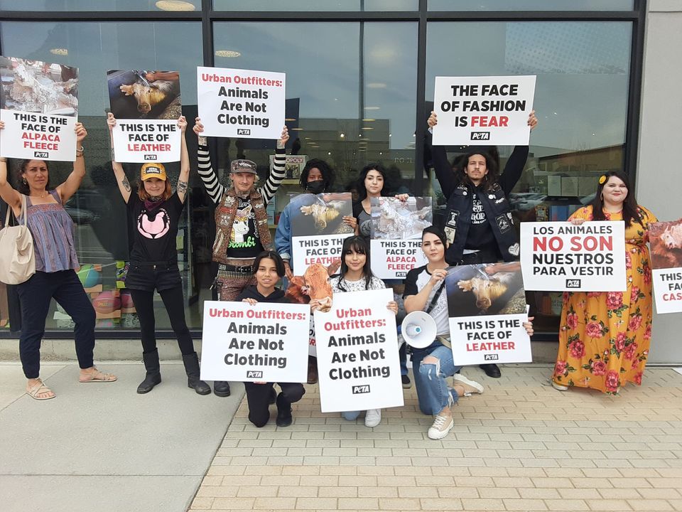 Portland: Animals Are Not Ours To Wear Protest Urban Outfitters, Urban ...