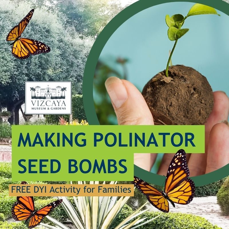 Making Pollinator Seed Bombs at the Vizcaya Village Farmers Market ...