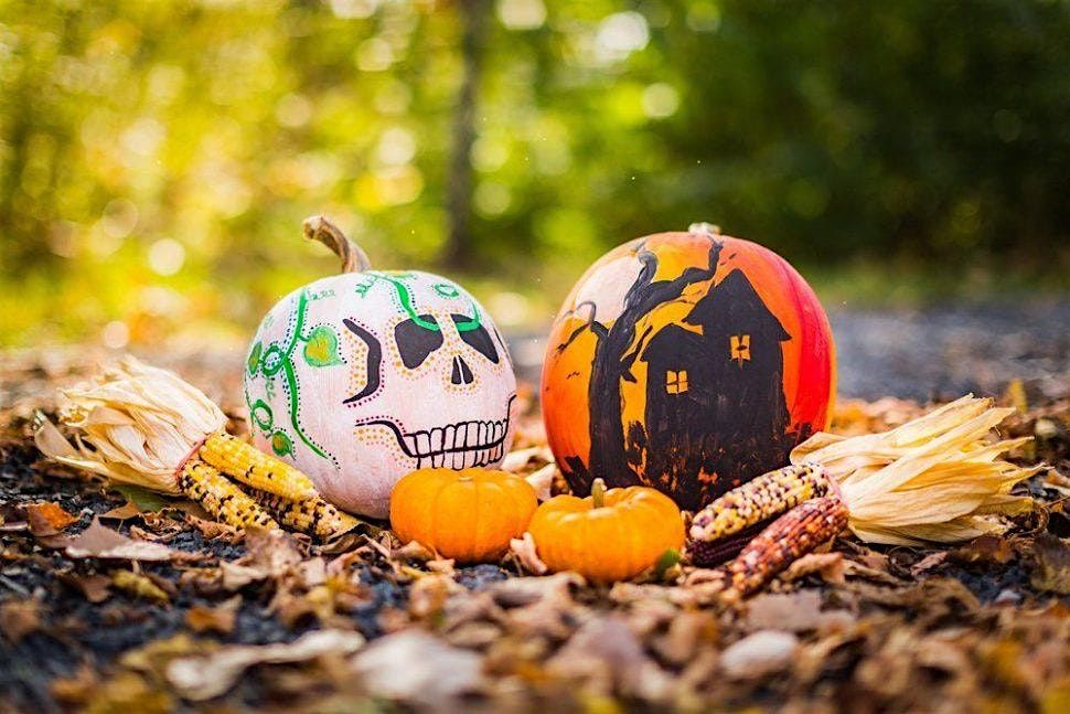 Pumpkin Painting In Central Park - A Fun Halloween Season Event ...