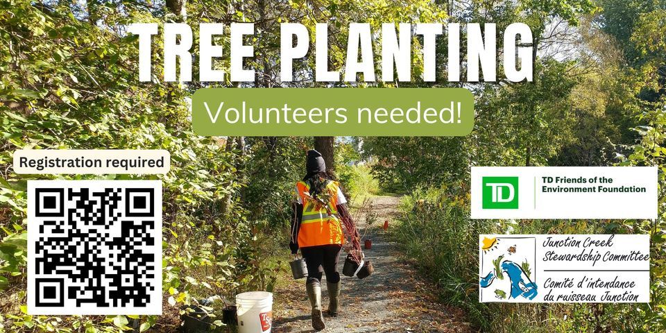 TD Tree Days - Tree Planting Event, Birch Lane, Greater Sudbury, P3L ...