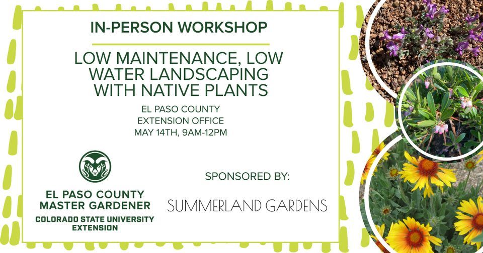 Low-Maintenance, Low-Water Landscaping with Native Plants, El Paso ...