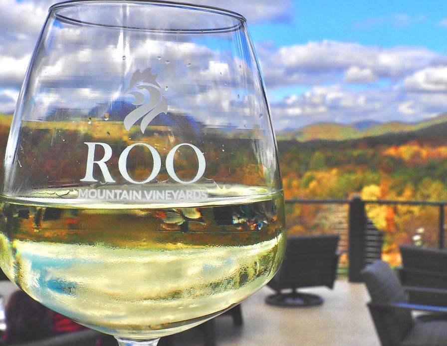 "MUSICA ACOUSTICA" with VENAE & THE VYBBE, Roo Mountain Vineyards ...