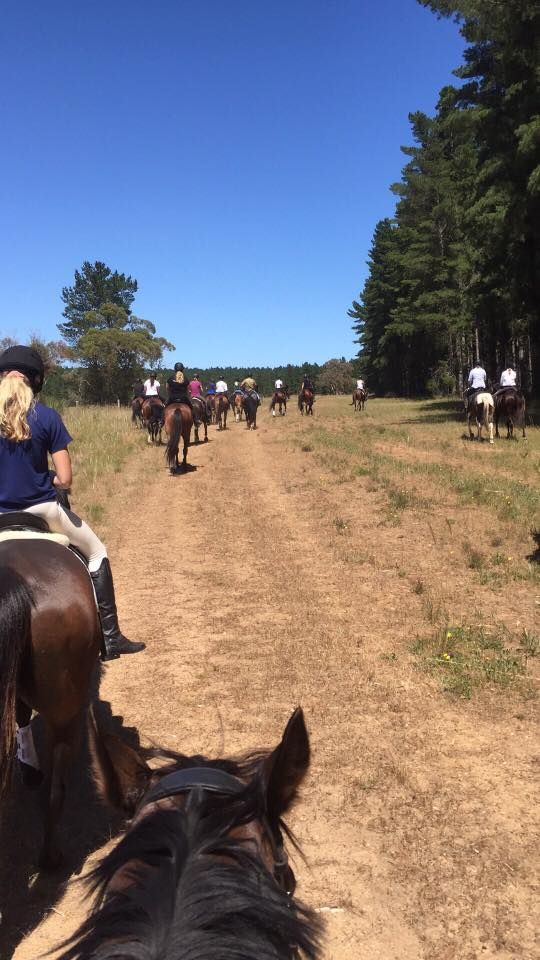Christmas trail ride, Strathalbyn Racecourse, Mclaren Vale, 20 November ...