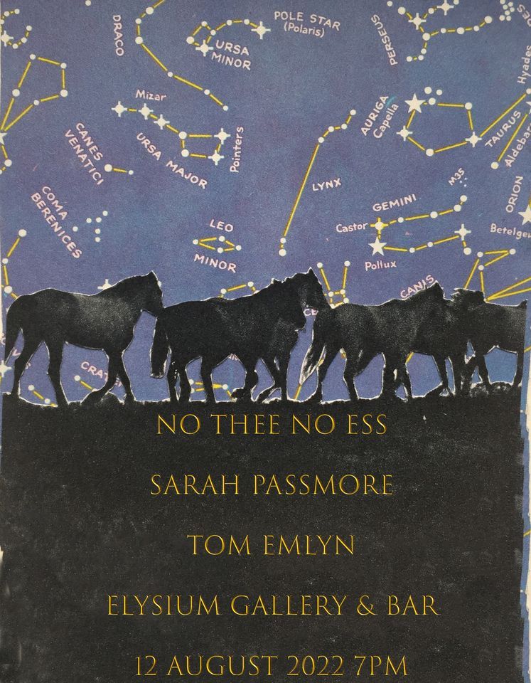 No Thee No Ess + Tom Emlyn + Sarah Passmore, Elysium, Swansea, 12 ...