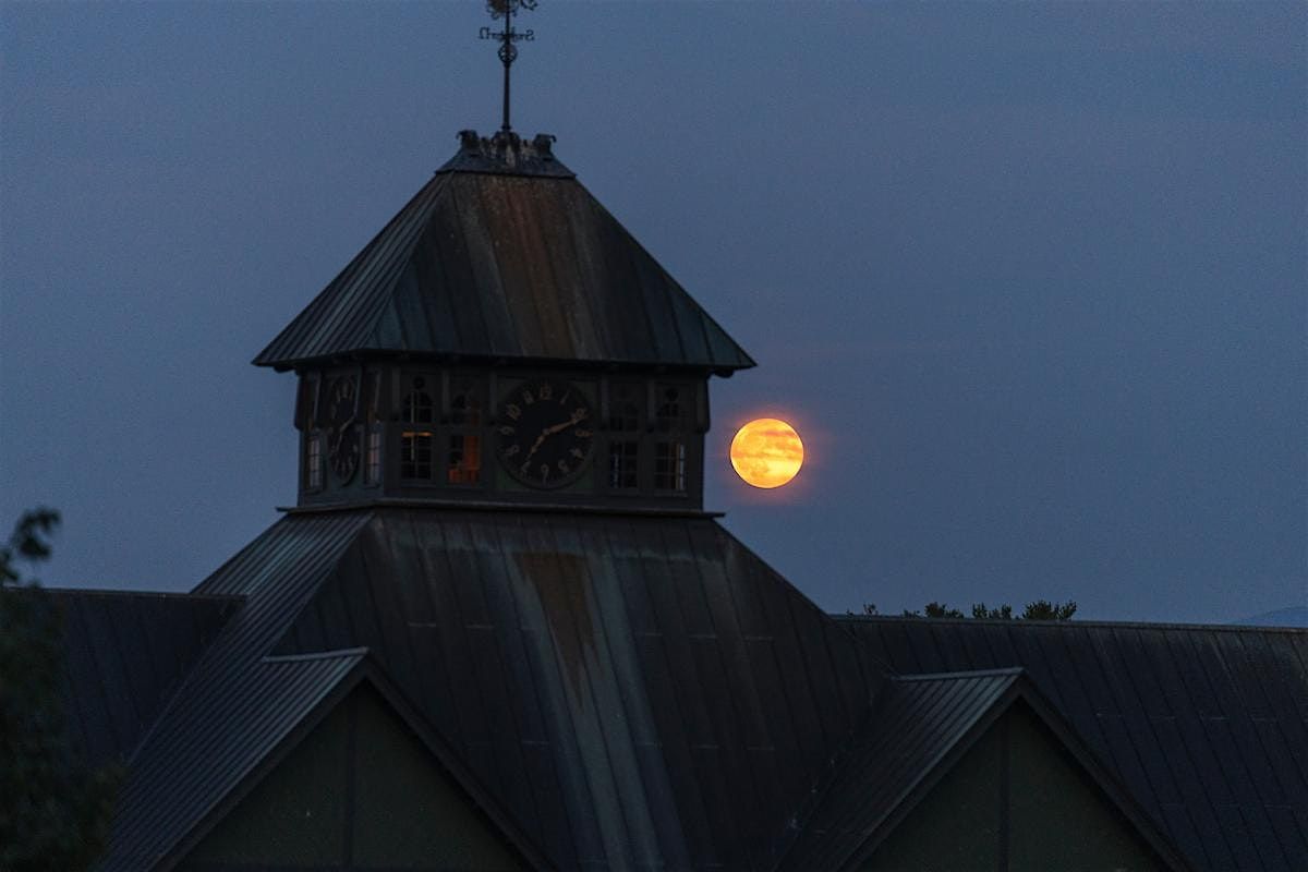 Moonwise: Wisdom and Herbal Care for Womb Holders, McClure Education ...