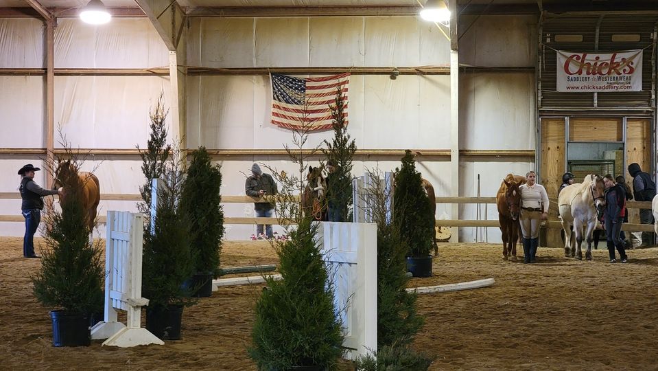 Candy Cane 2024 Indoor Series #1, Origami Stables, Hartly, 9 December 2023