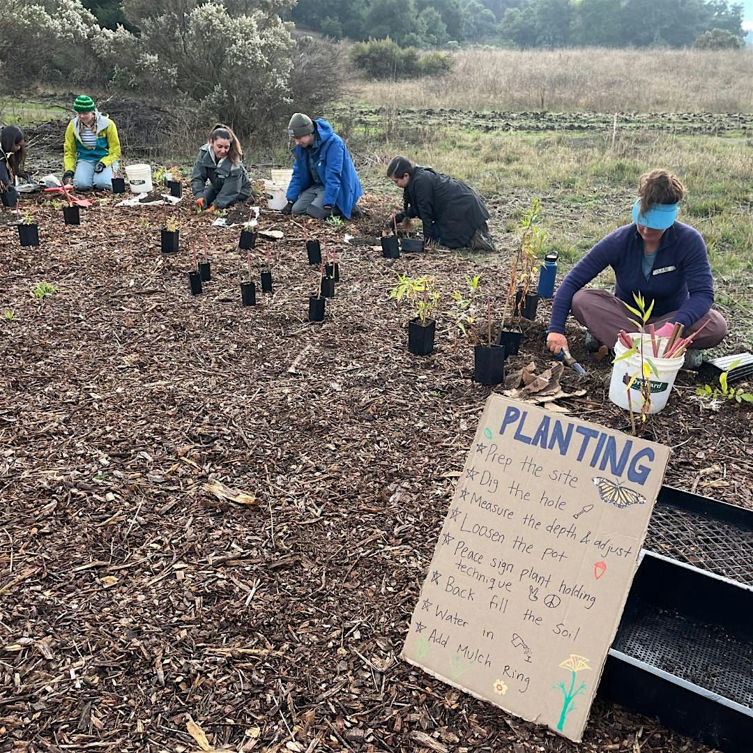 Volunteer Outdoors in Palo Alto at Pearson-Arastradero Preserve ...