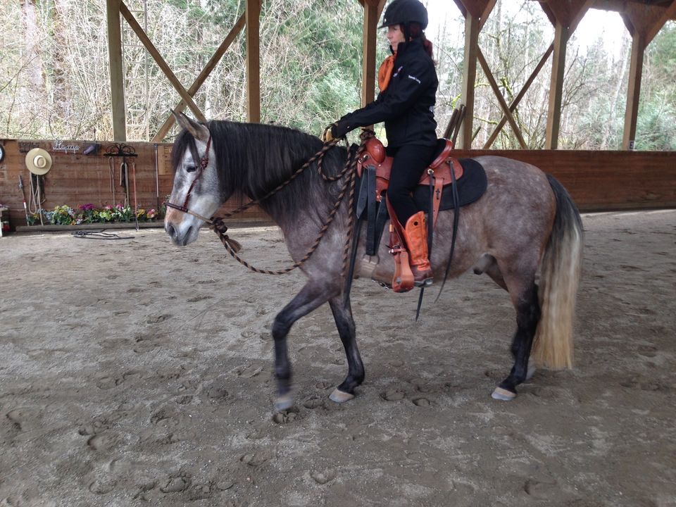 DRILL TEAM FUN - Putting practice to purpose, 4700 Charlie Spruce Pl ...