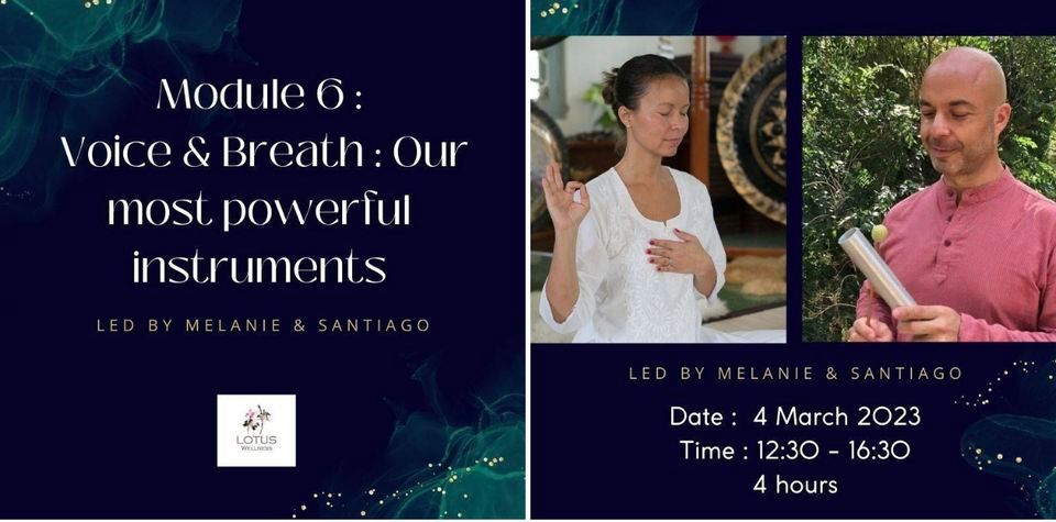 Module 6: Voice & Breath: Our Most Powerful Instruments, Lotus Wellness ...
