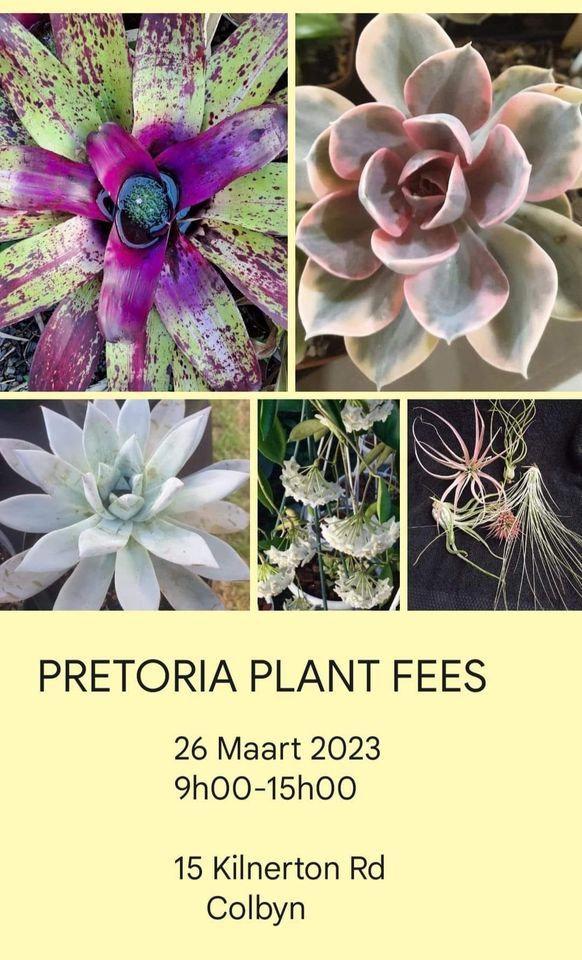 Ntozinhle Lifestyle Pretoria Pop-Up Tour 2023 | For The Love of Denim ...