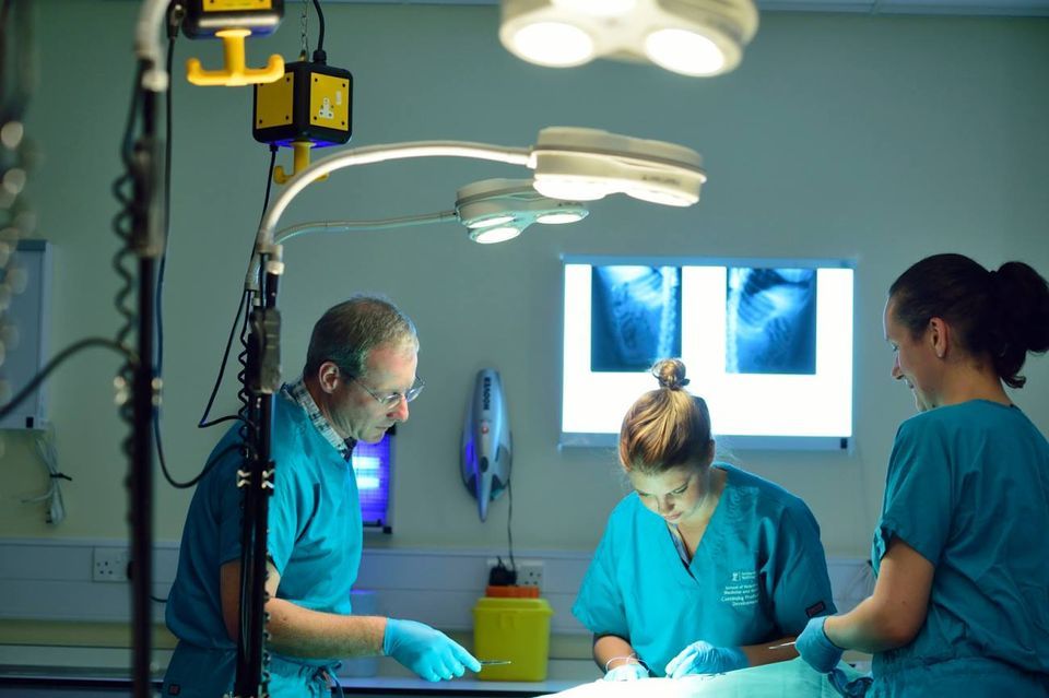 Taking the Fear out of the Exploratory Laparotomy, University of ...