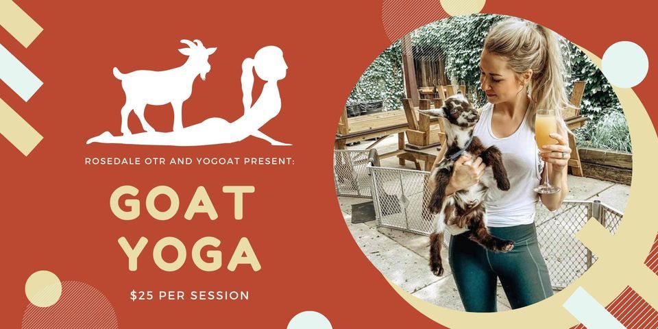 Goat Yoga at Rosedale OTR, Rosedale OTR, Cincinnati, 14 May 2023