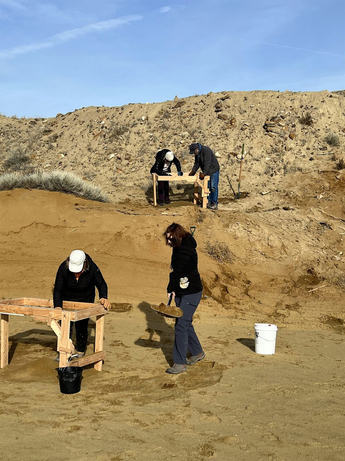 Shoofly Sand Pit (Fossils), Idaho Museum of Mining and Geology, Boise ...