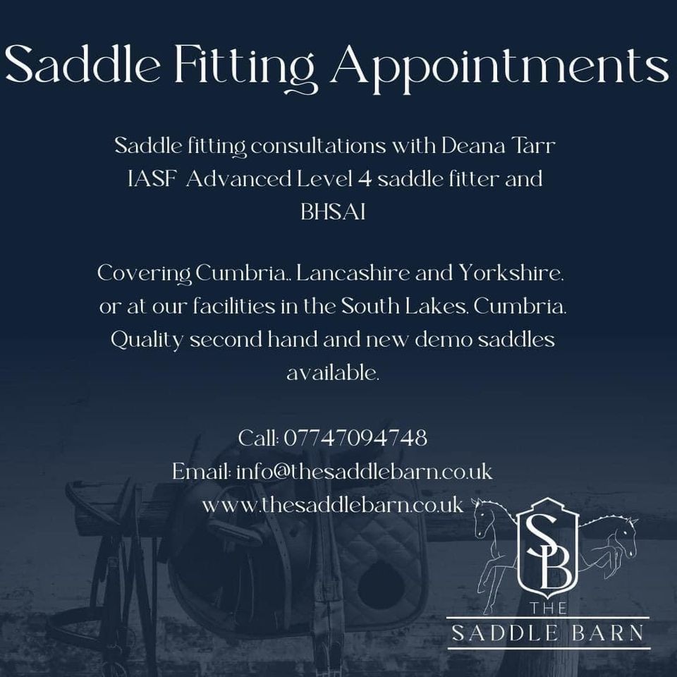 Saddle Fitting appointments at Moat Farm, Aldingham , Moat Farm Tea ...