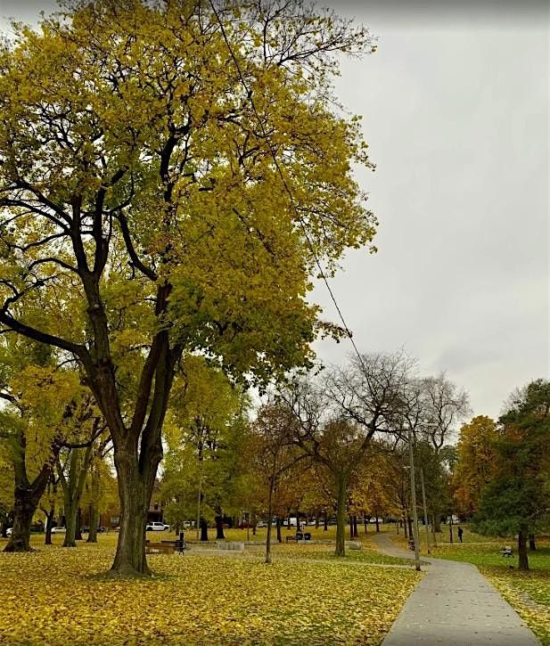 Cabbagetown To Waterfront: Secret History & Hidden Laneways, Castle ...