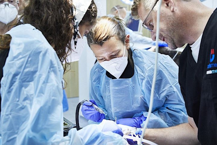 Stifle Disease: Cranial Cruciate Ligament Deficiency with MMP | Wet-Lab ...