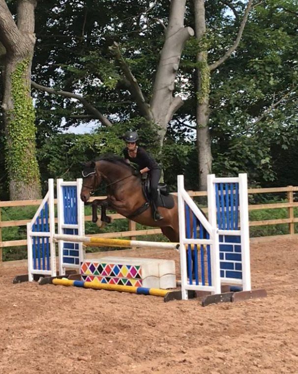 Flatwork with poles and jump lessons with Christie Lee Batty, York ...