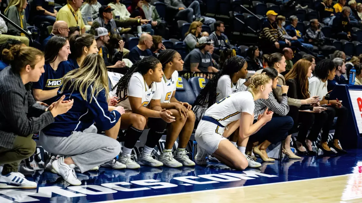 Western Carolina Catamounts at Furman Lady Paladins Womens Basketball ...